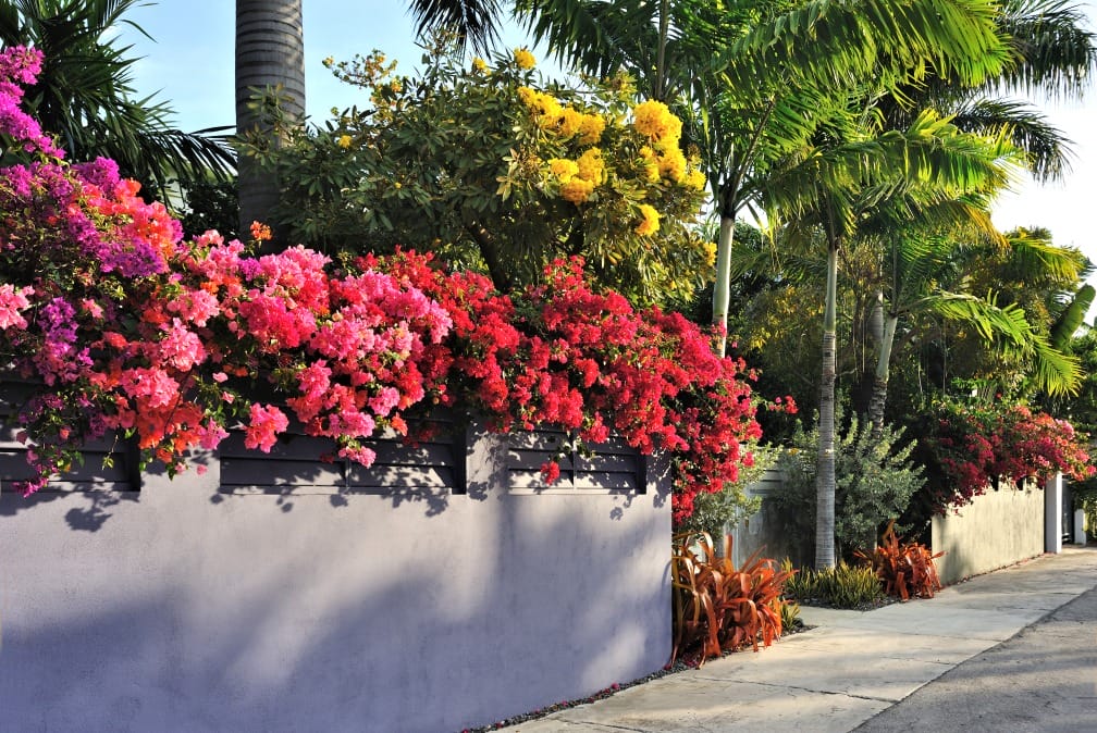 Summer in Key West - Vacation Homes of Key West