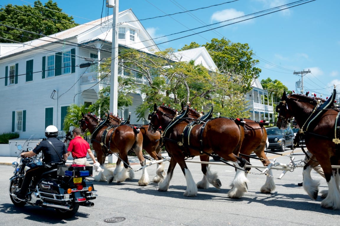 A Traveler's Guide to Fall in Key West - Vacation Homes of Key West