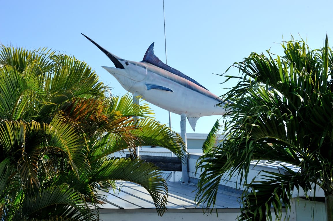 Fishing in Key West: The Ultimate Guide - Vacation Homes of Key West