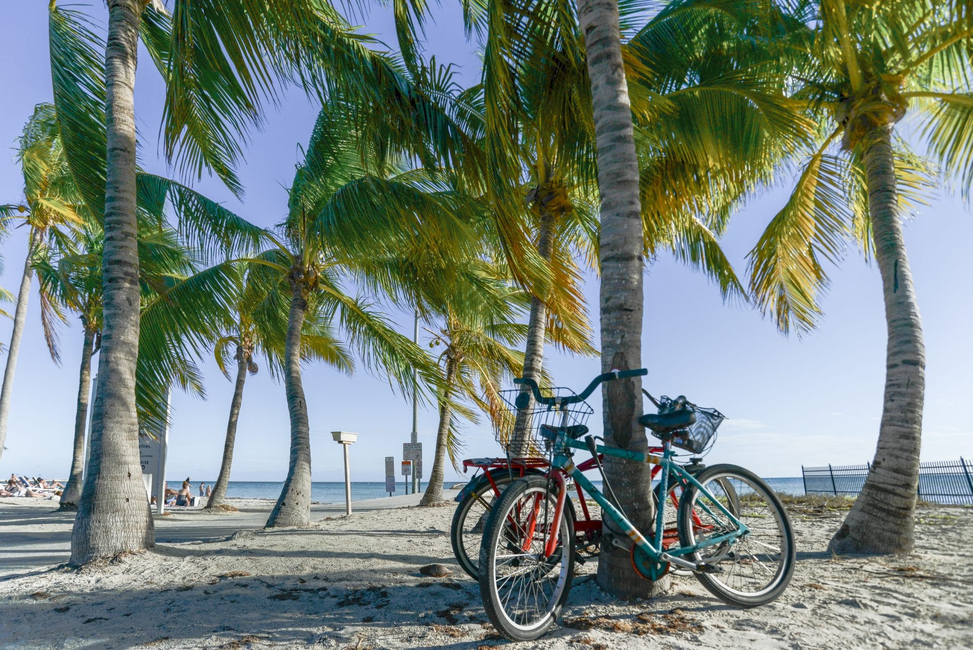 Ultimate Key West Activities Guide - Vacation Homes of Key West